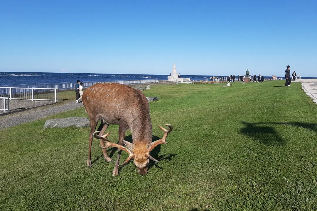 Wakkanai the Northernmost Point of Japan - hokkaido-tour