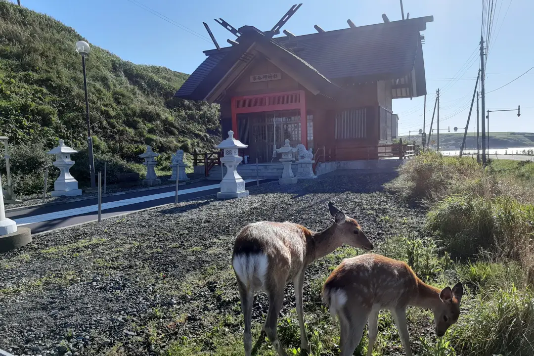 Wakkanai the Northernmost Point of Japan - hokkaido-tour