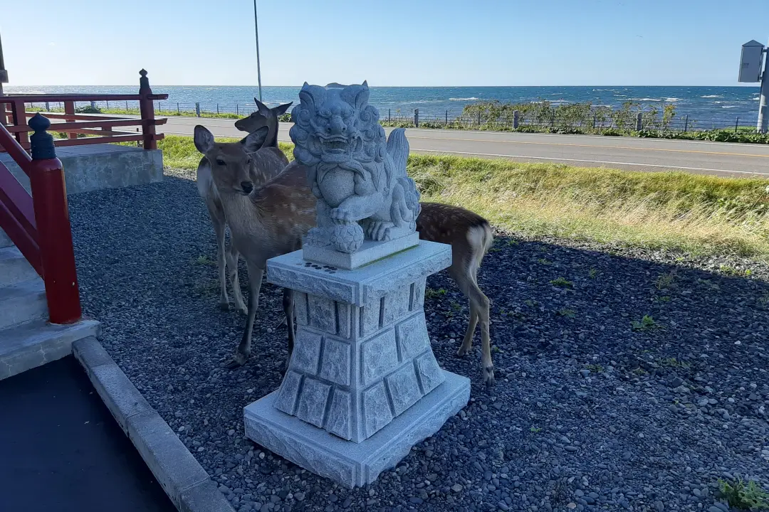 Wakkanai the Northernmost Point of Japan - hokkaido-tour